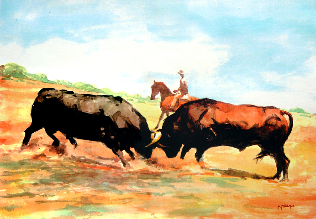 Pelea de toros | Fidel Molina