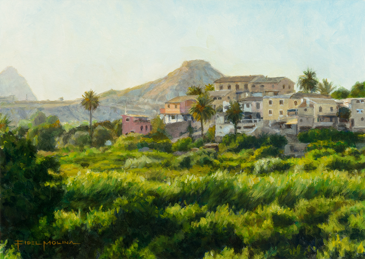 Vista del Cabezo de la Cobertera | Fidel Molina
