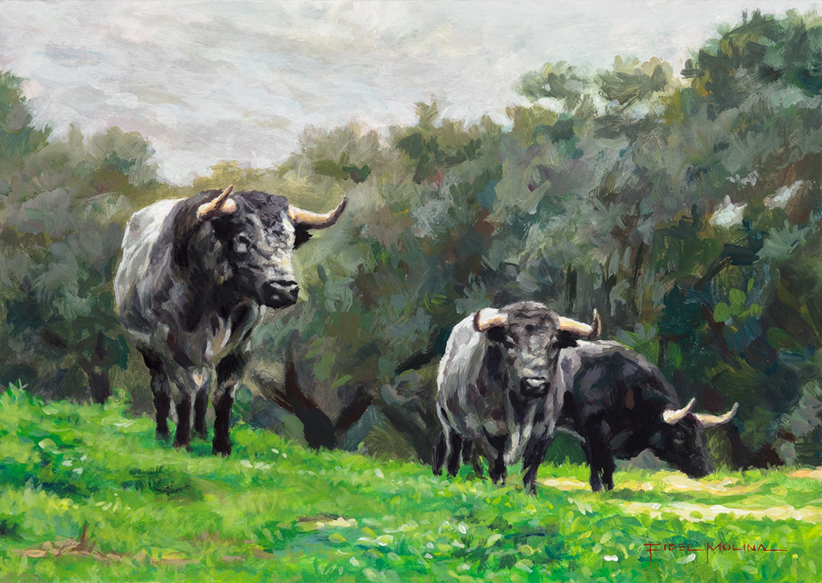 Toros en la dehesa | Fidel Molina