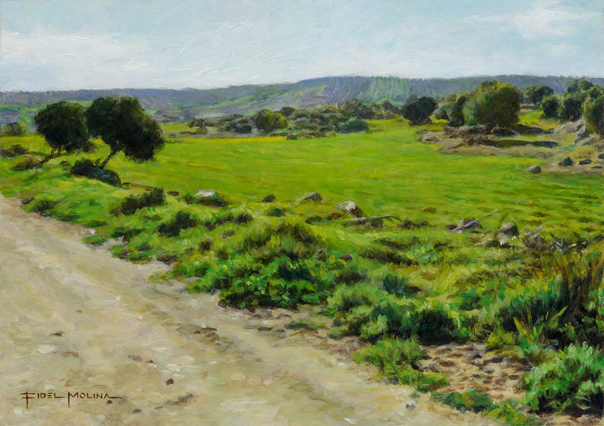 Camino de la presa. Santa Ana de Pusa | Fidel Molina